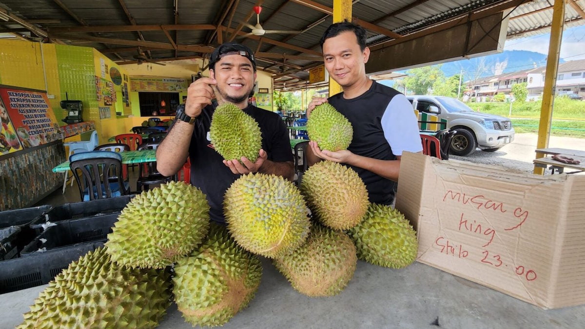 Harga Durian Musang King RM23 Sekilo